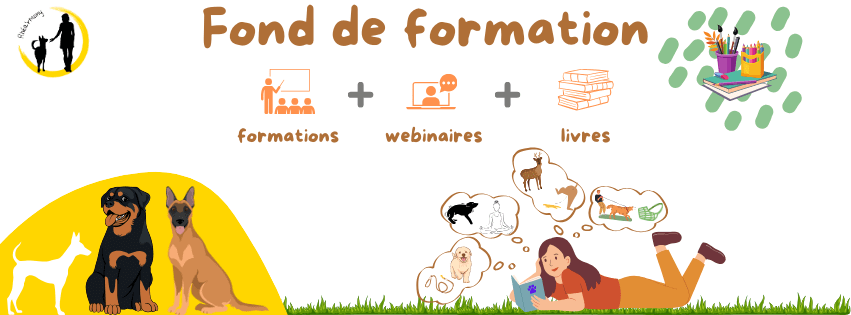 Cagnotte : Fond de formation | Leetchi
