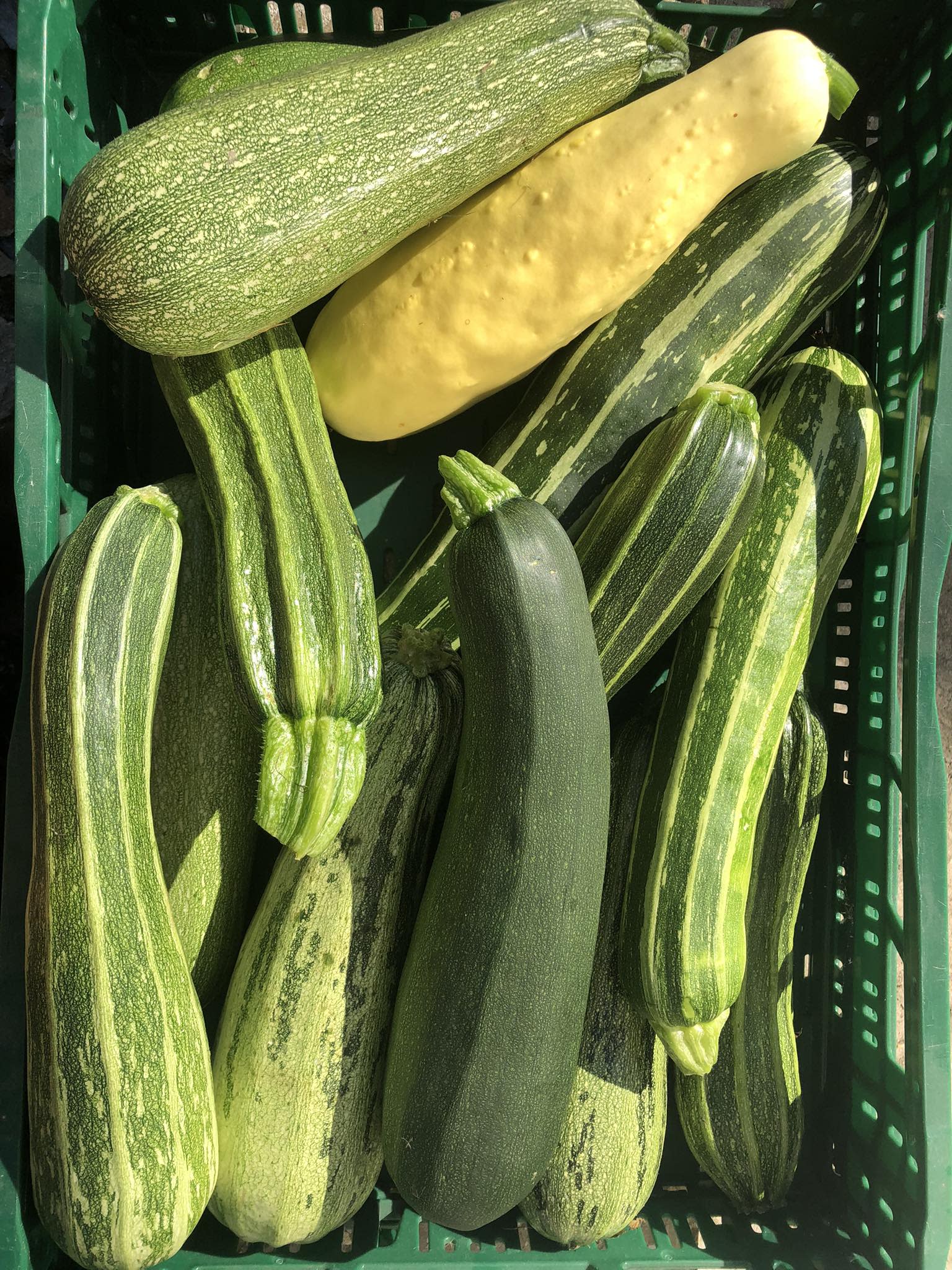 Cagnotte : Ensemble pour une agriculture durable | Leetchi