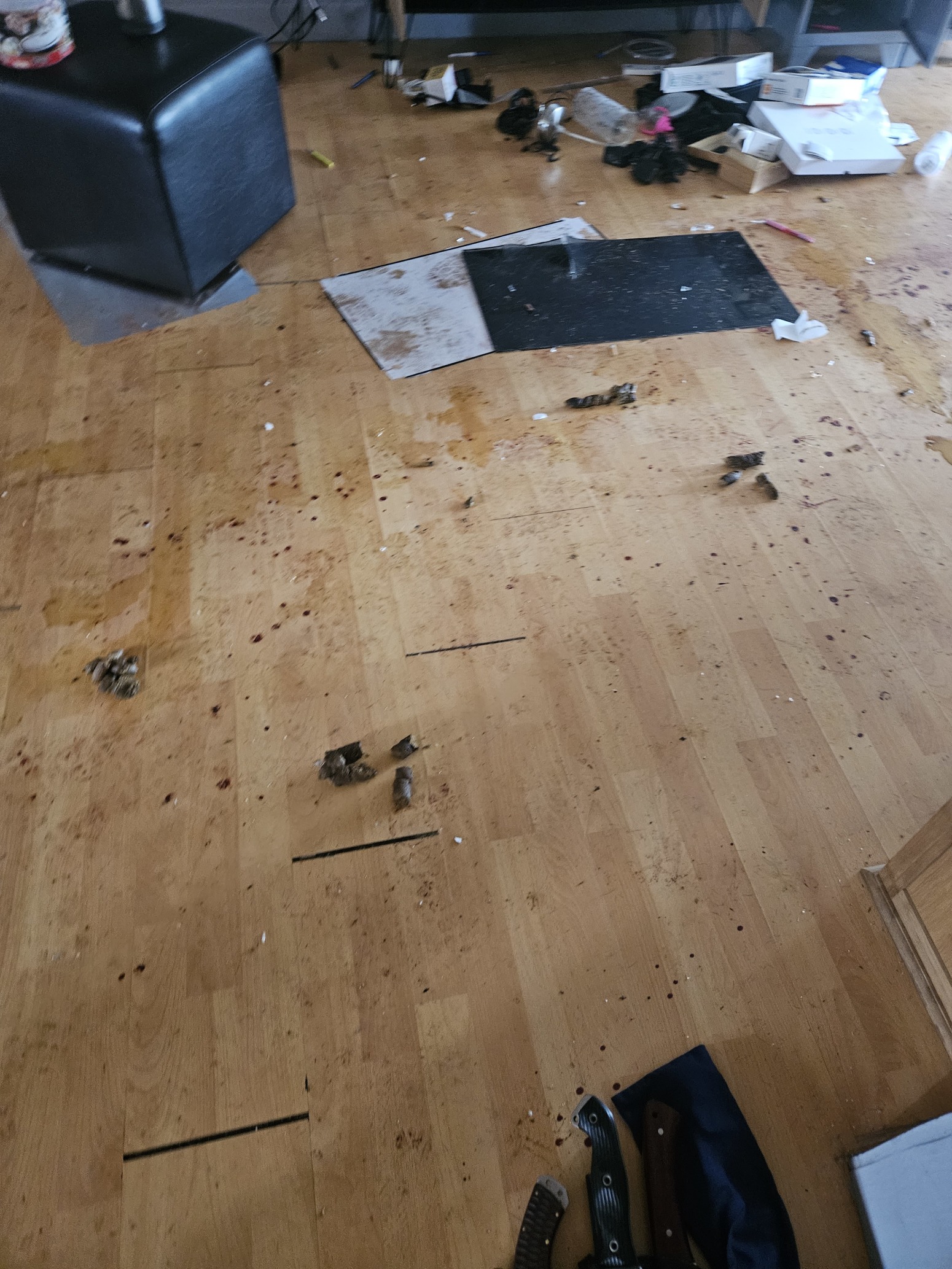 Cagnotte : Aide au frais vétérinaires et prise en charge | Leetchi