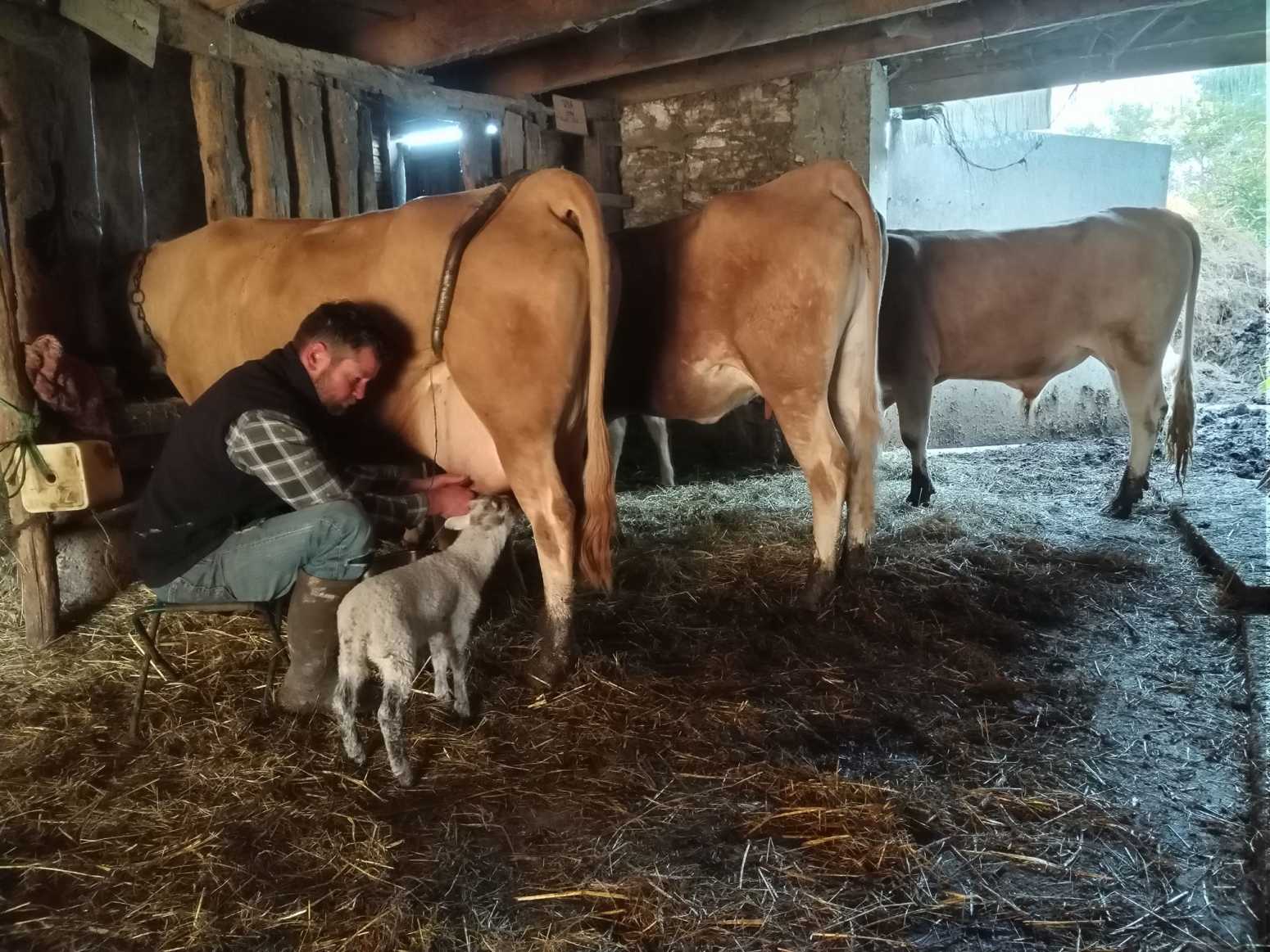 Cagnotte : La retraite pour mes vieux animaux | Leetchi