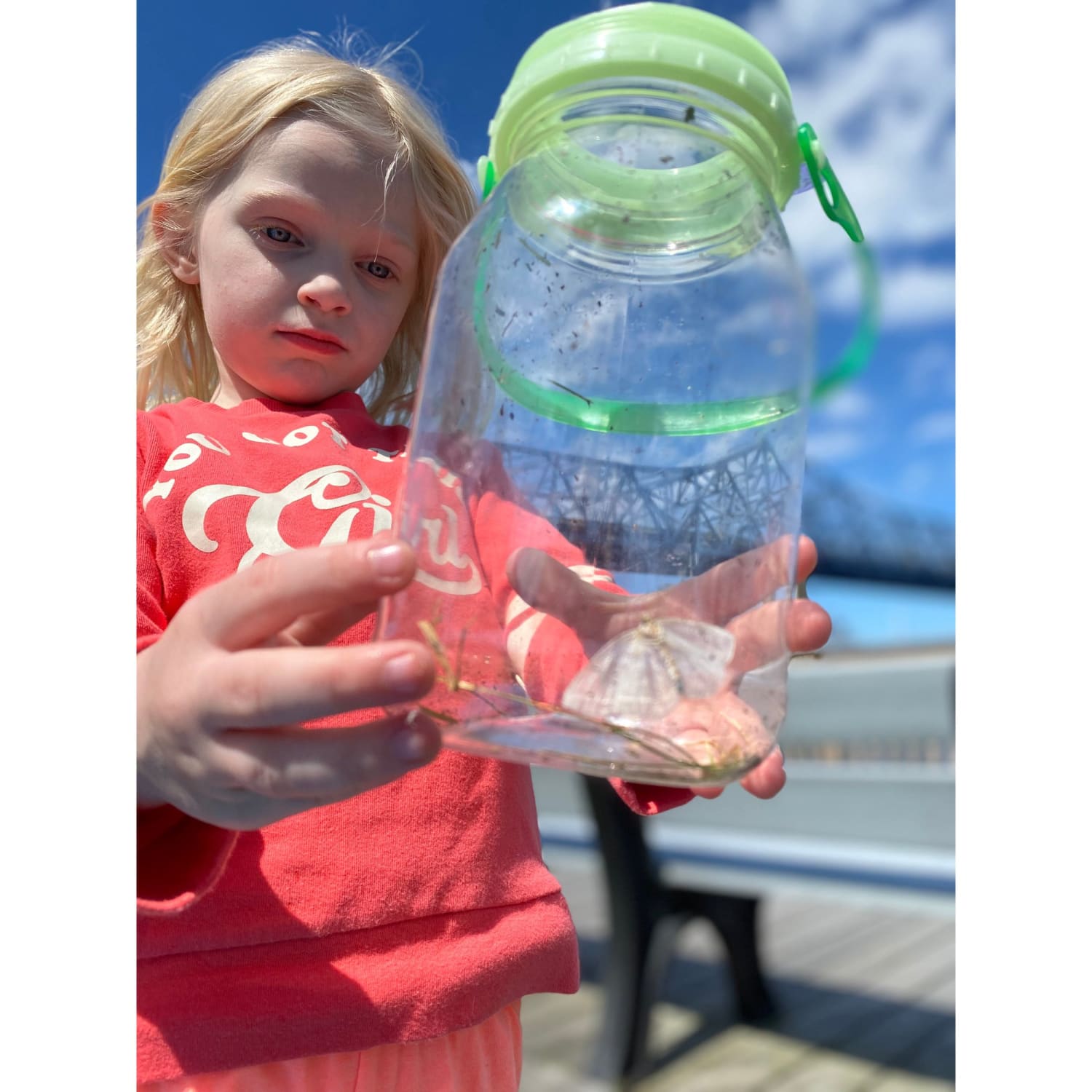 Kids Mason Jar Bug Catcher and Habitat | Lehman's