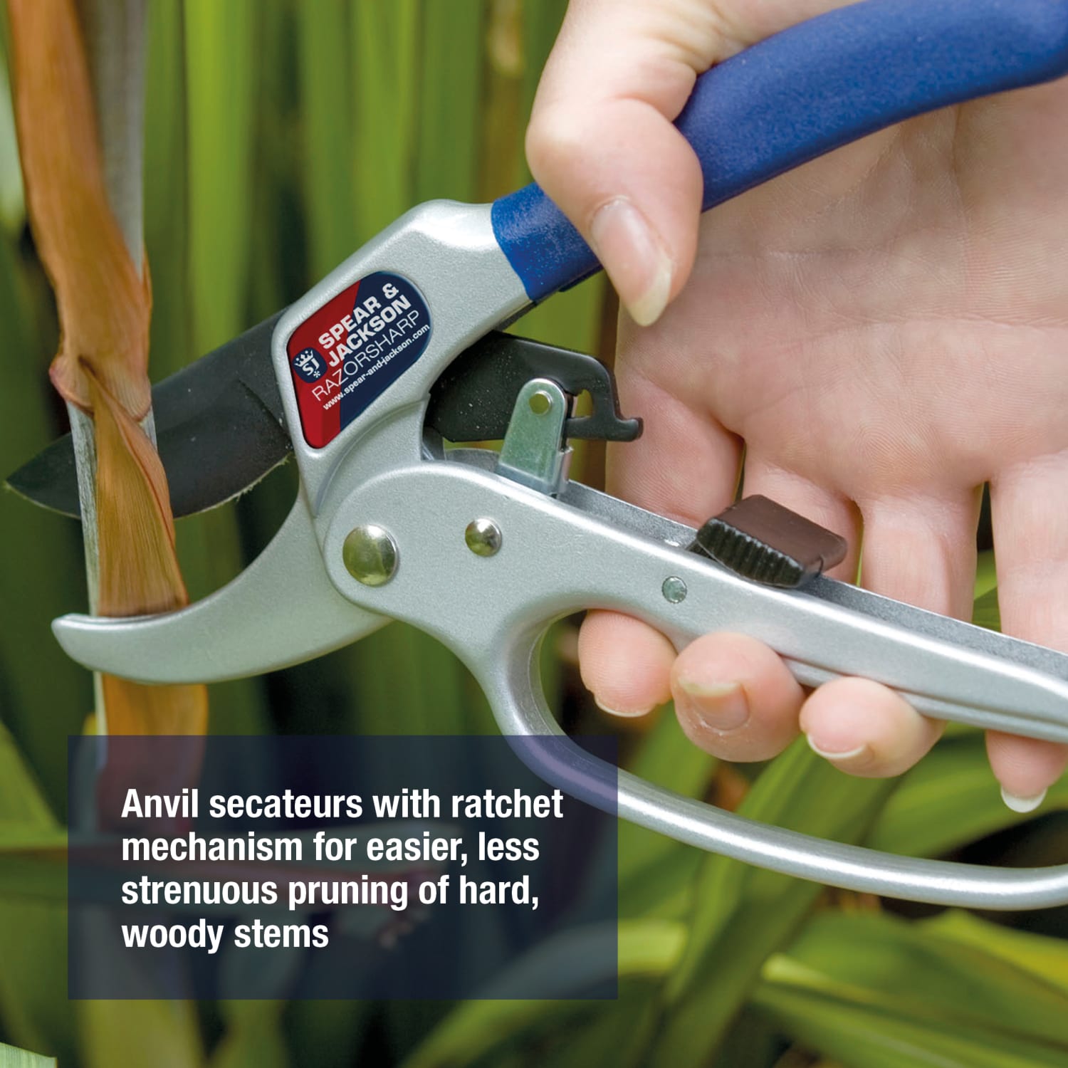 Razorsharp Ratchet Anvil Pruner for Thicker Branches | Lehman's