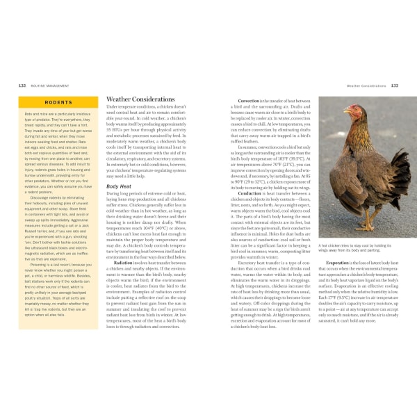 Storey's Guide to Raising Chickens Book, Farm and Livestock - Lehman's