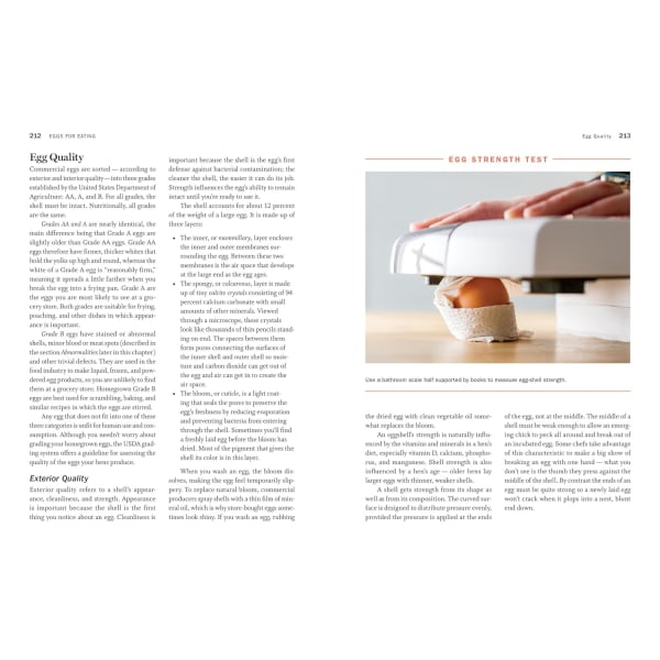 Storey's Guide to Raising Chickens Book, Farm and Livestock - Lehman's