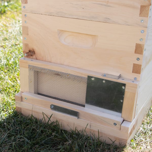 8-Frame Robbing Screen for Hive | Beekeeping at Lehman's