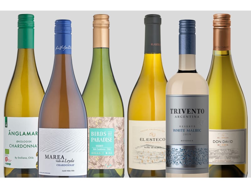 Lækkert tapas - bestil online - Delikat