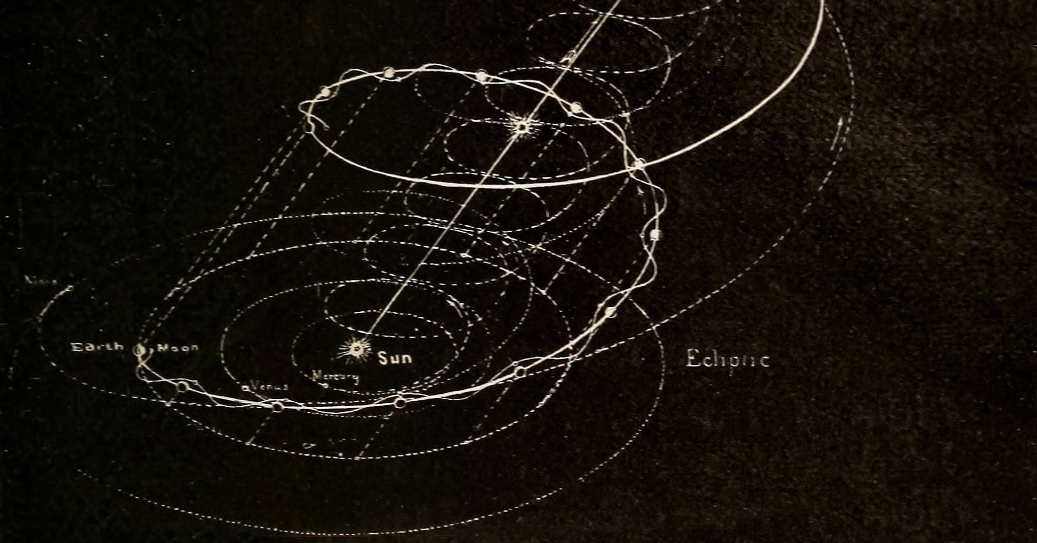 Amoeba roles in tech — LessWrong