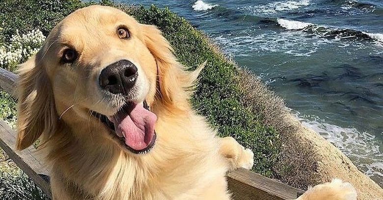 I said hello and greeted 1,000 people at 5am this morning — LessWrong