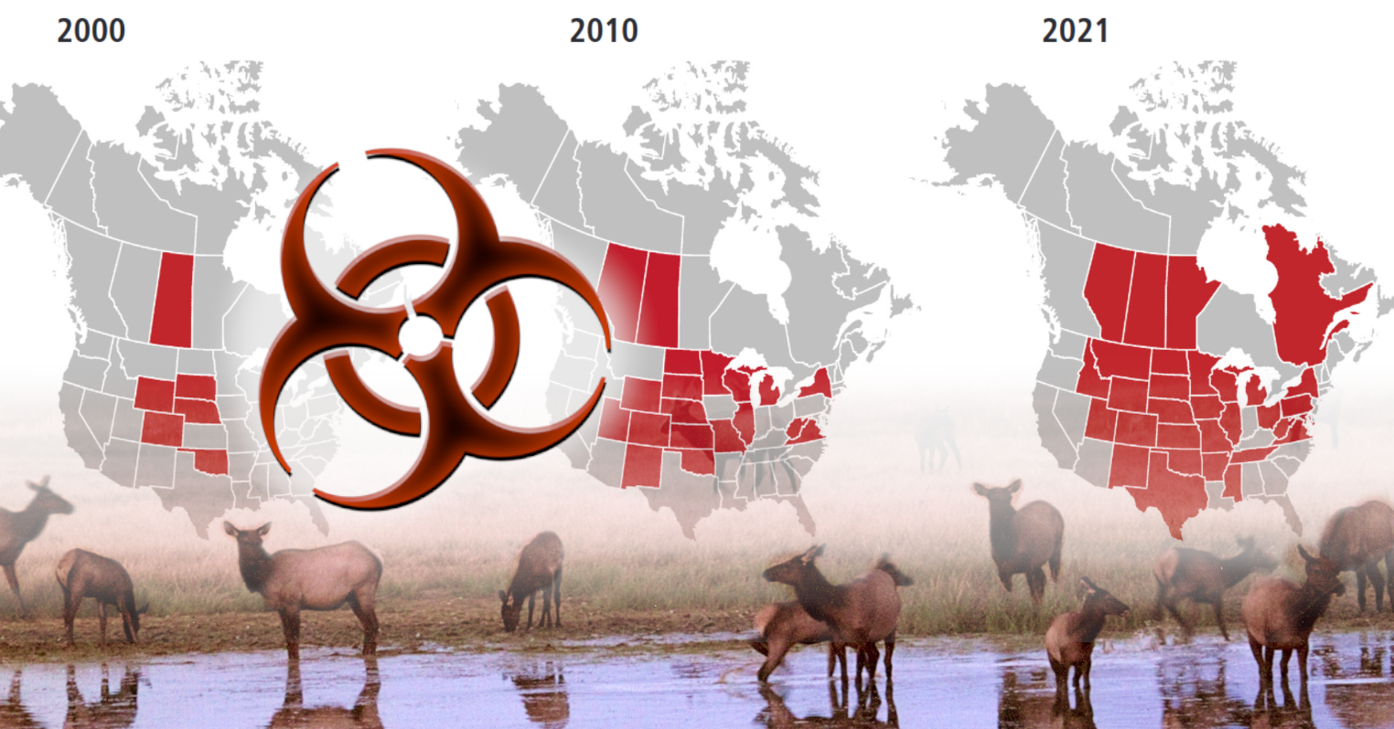 Will the growing deer prion epidemic spread to humans? Why not? — LessWrong