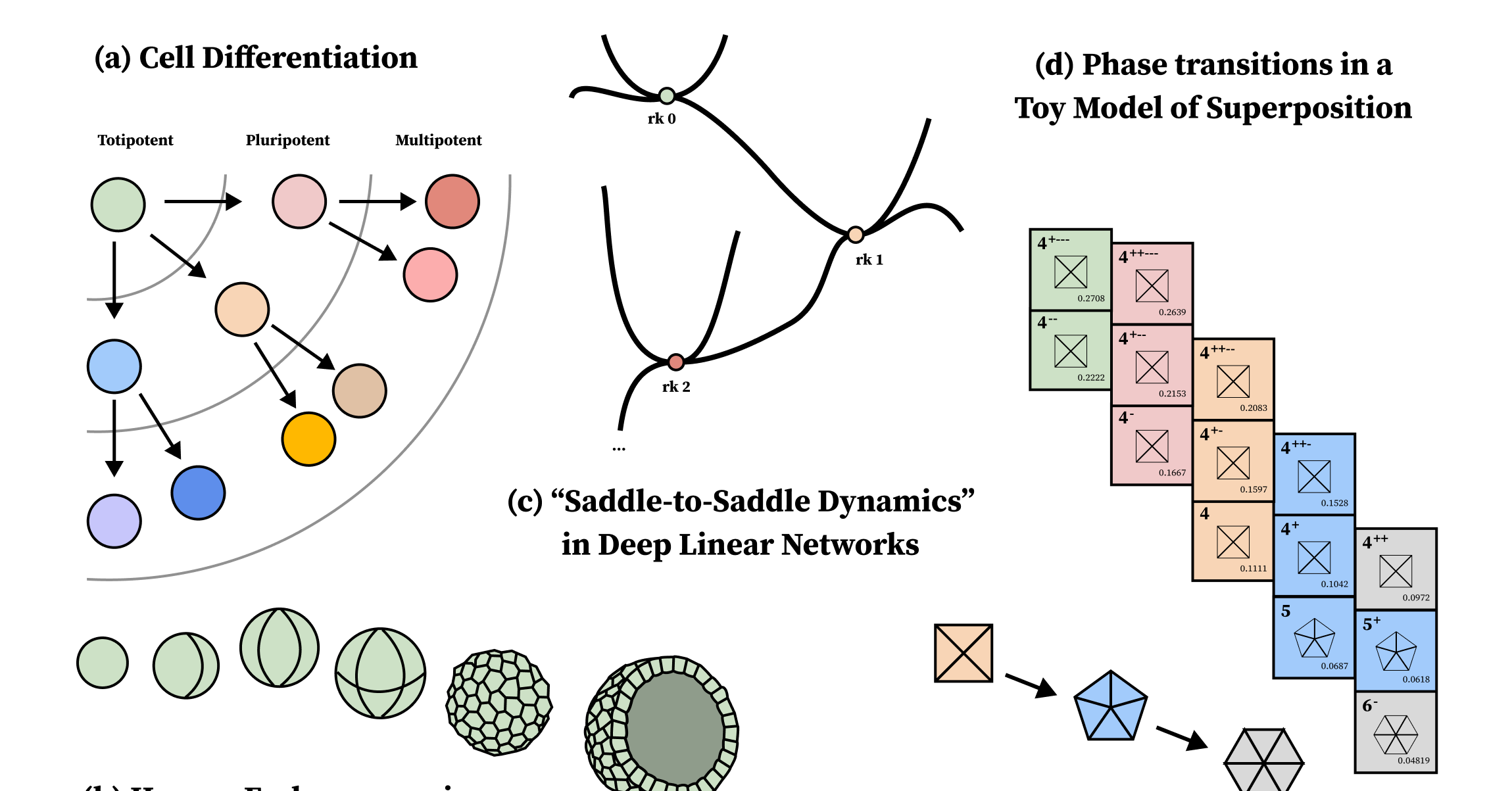 Stagewise Development In Neural Networks — Ai Alignment Forum