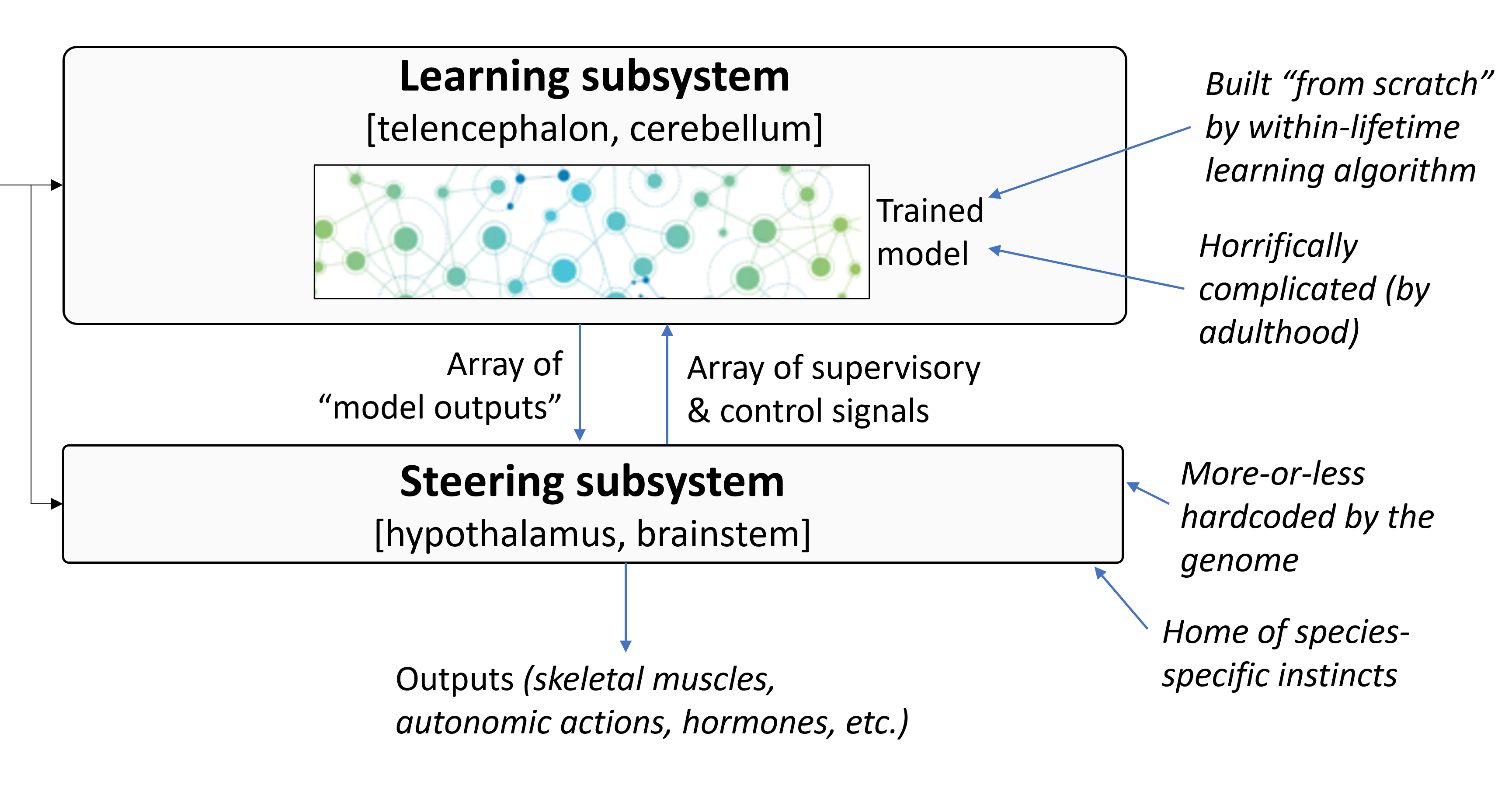 [Intro to brain-like-AGI safety] 3. Two subsystems: Learning & Steering — LessWrong