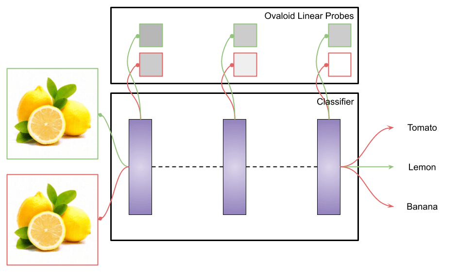 Analysing Adversarial Attacks With Linear Probing — Ai Alignment Forum