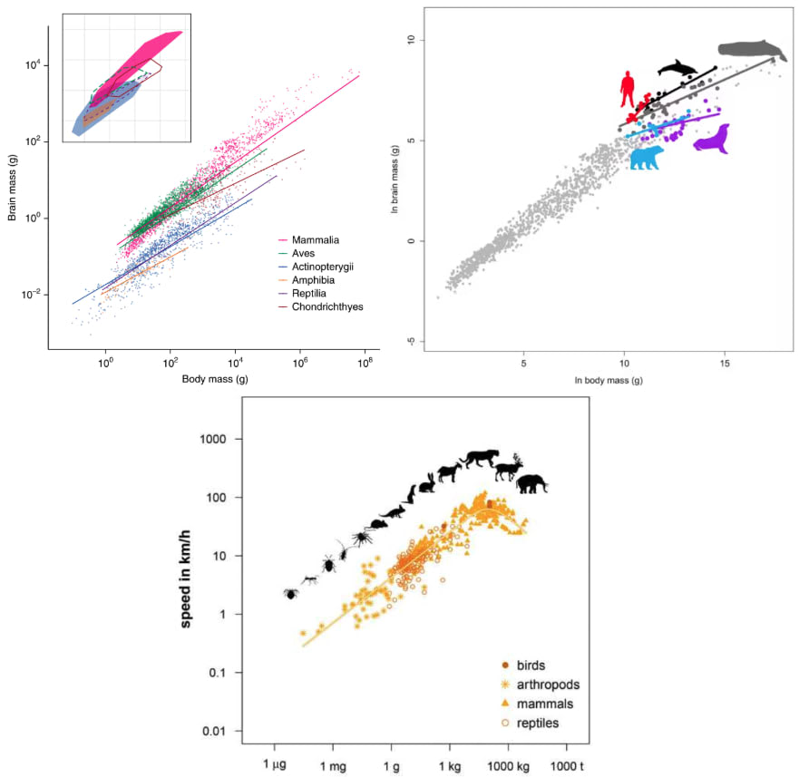The Convergent Path to the Stars — LessWrong