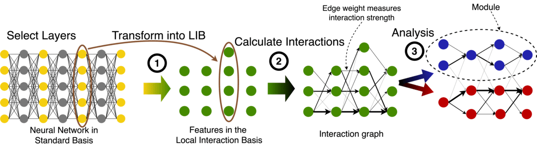 The Local Interaction Basis Identifying Computationally Relevant And Sparsely Interacting