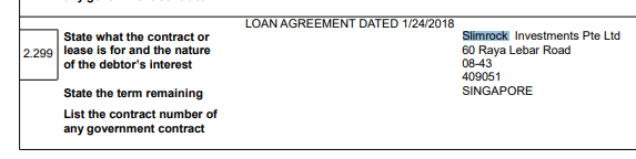 Who is Slimrock Investments Pte. Ltd. and how are they related to Lightcone Infrastructure ...