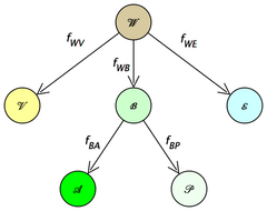 «Boundaries», Part 3a: Defining boundaries as directed Markov blankets ...