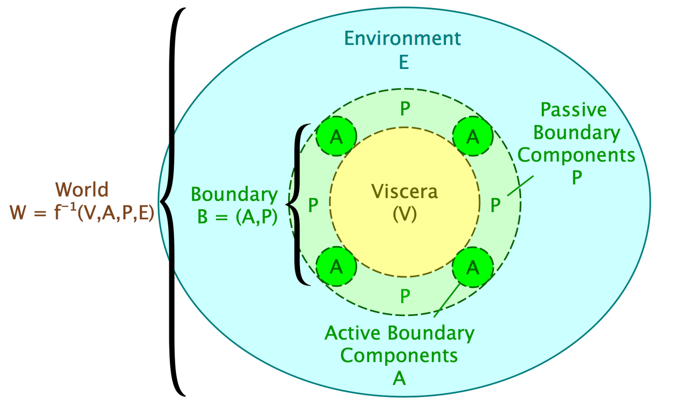 «Boundaries», Part 3a: Defining boundaries as directed Markov blankets ...