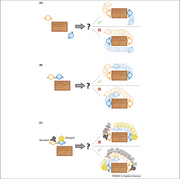 The Preference Fulfillment Hypothesis — LessWrong