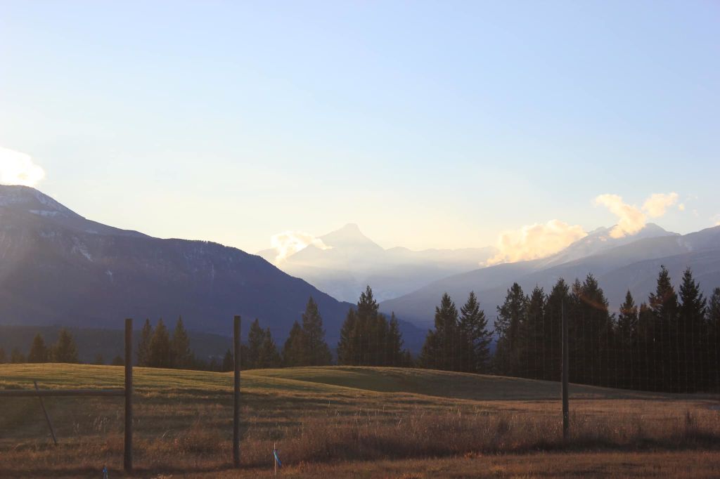 Lake Windermere District Lions Campground