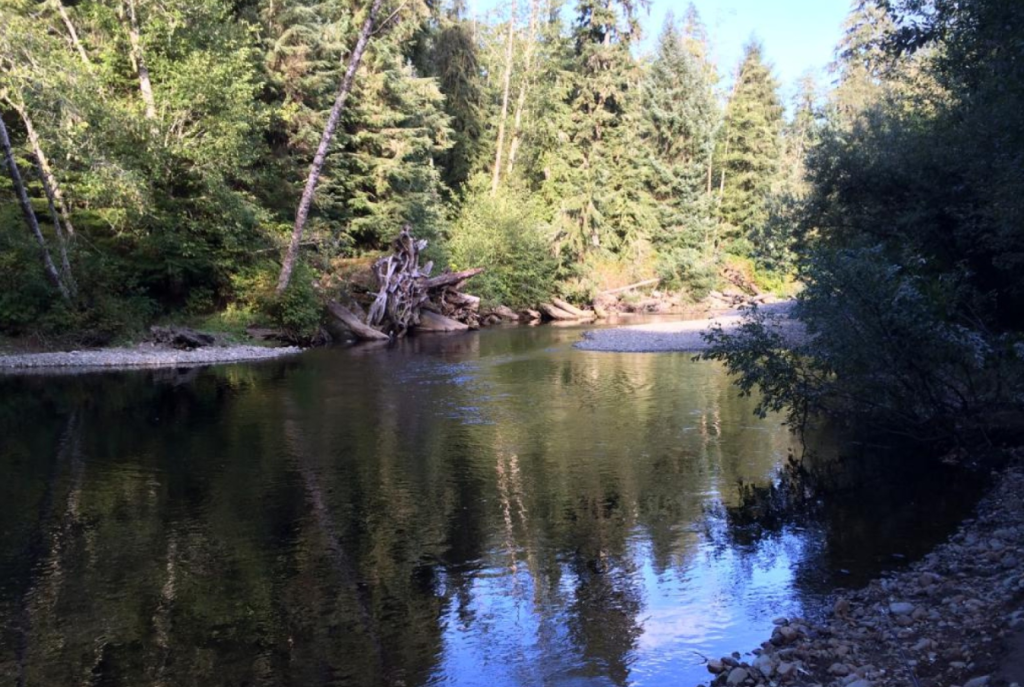 Quatse Regional Campground