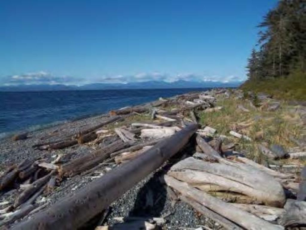 Bere Point Campground