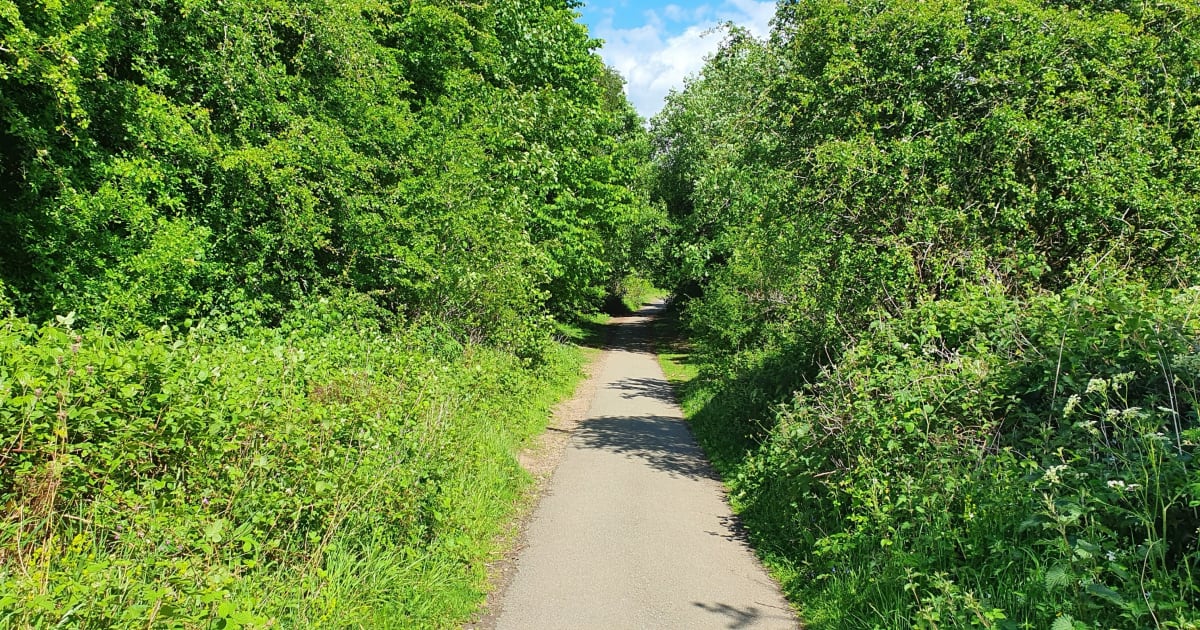 Race The Trails – Alyn Waters Country Park (Llay) 2022 - Running in ...