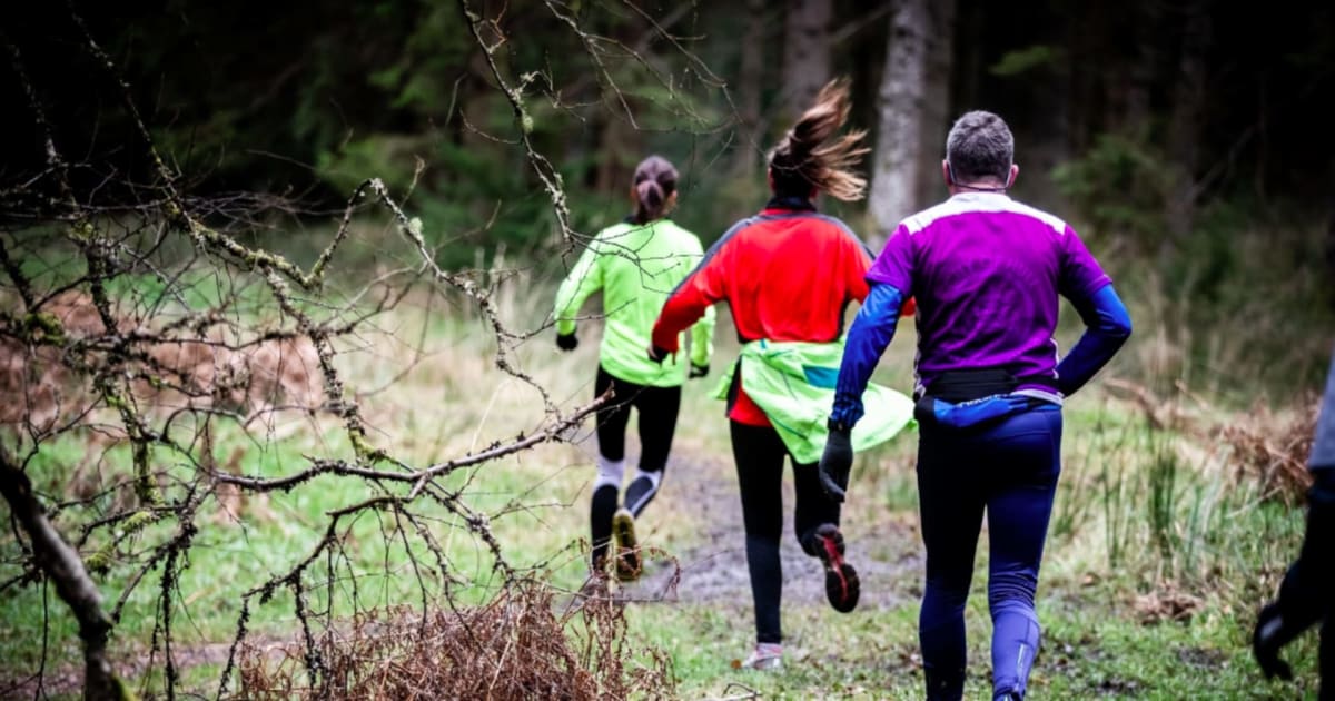 The Salcey Forest 10k & 5k 2022 - Running in Northampton — Let’s Do This