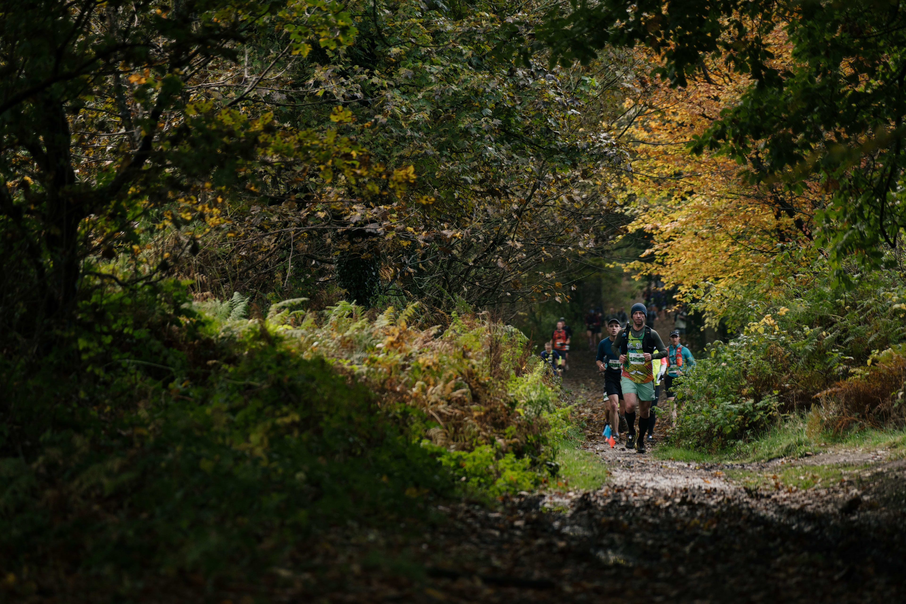 Delamere Trails Marathon and Half Marathon - Running in Delamere — Let ...