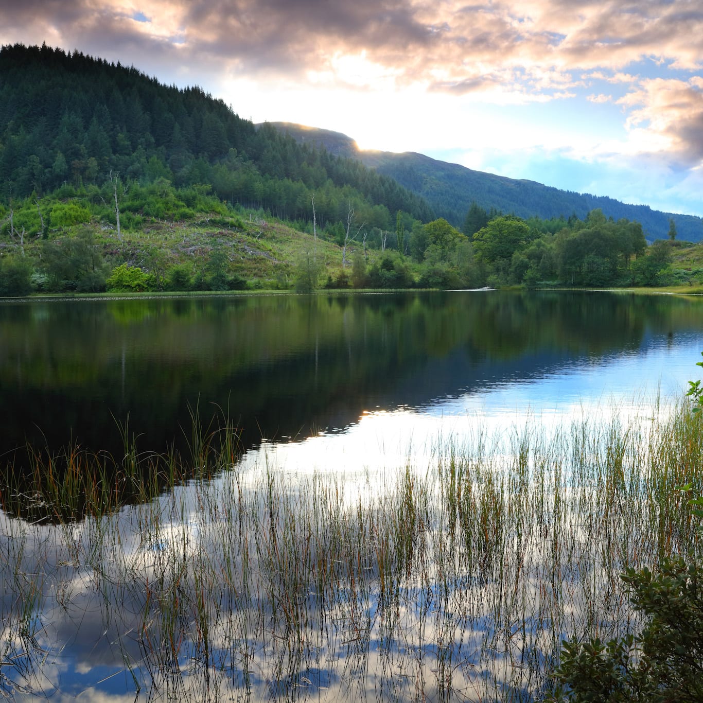 Aberfoyle Gravel Epic - Mountain Biking in Aberfoyle — Let’s Do This
