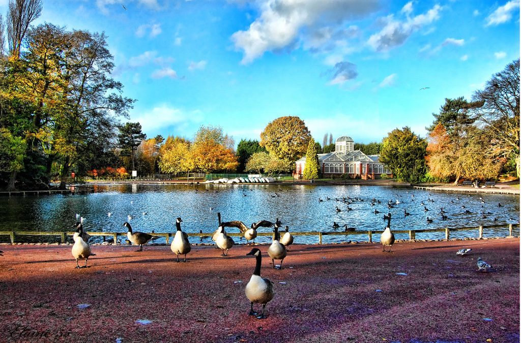 Wolverhampton West Park 5k & 10k - Running in Wolverhampton — Let’s Do This