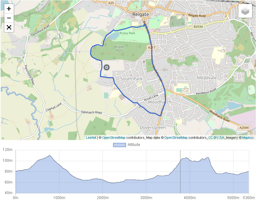 Intersport Run Reigate Half Marathon, 5K, 10K & Kids Race - Running in ...