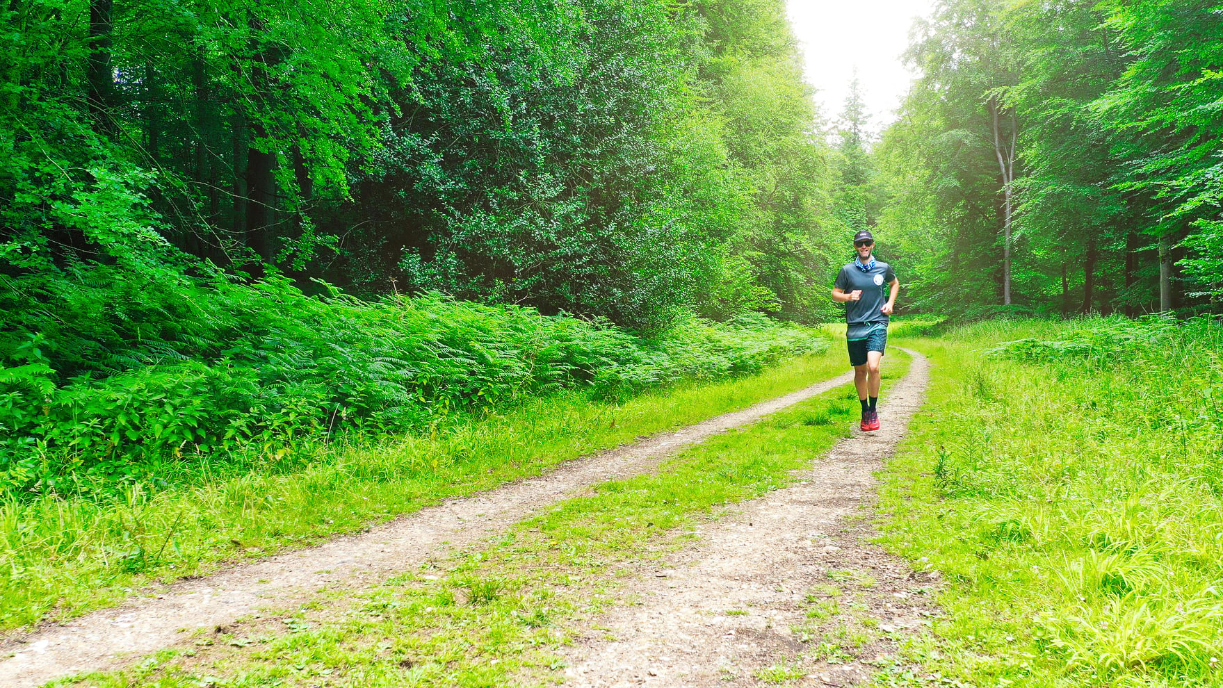South Downs Off-Road Half Marathon - Running in Chichester — Let’s Do This