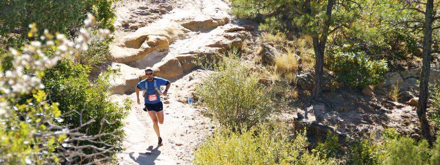 Ultramarathons in United States 2023 - 2024 | Let's Do This