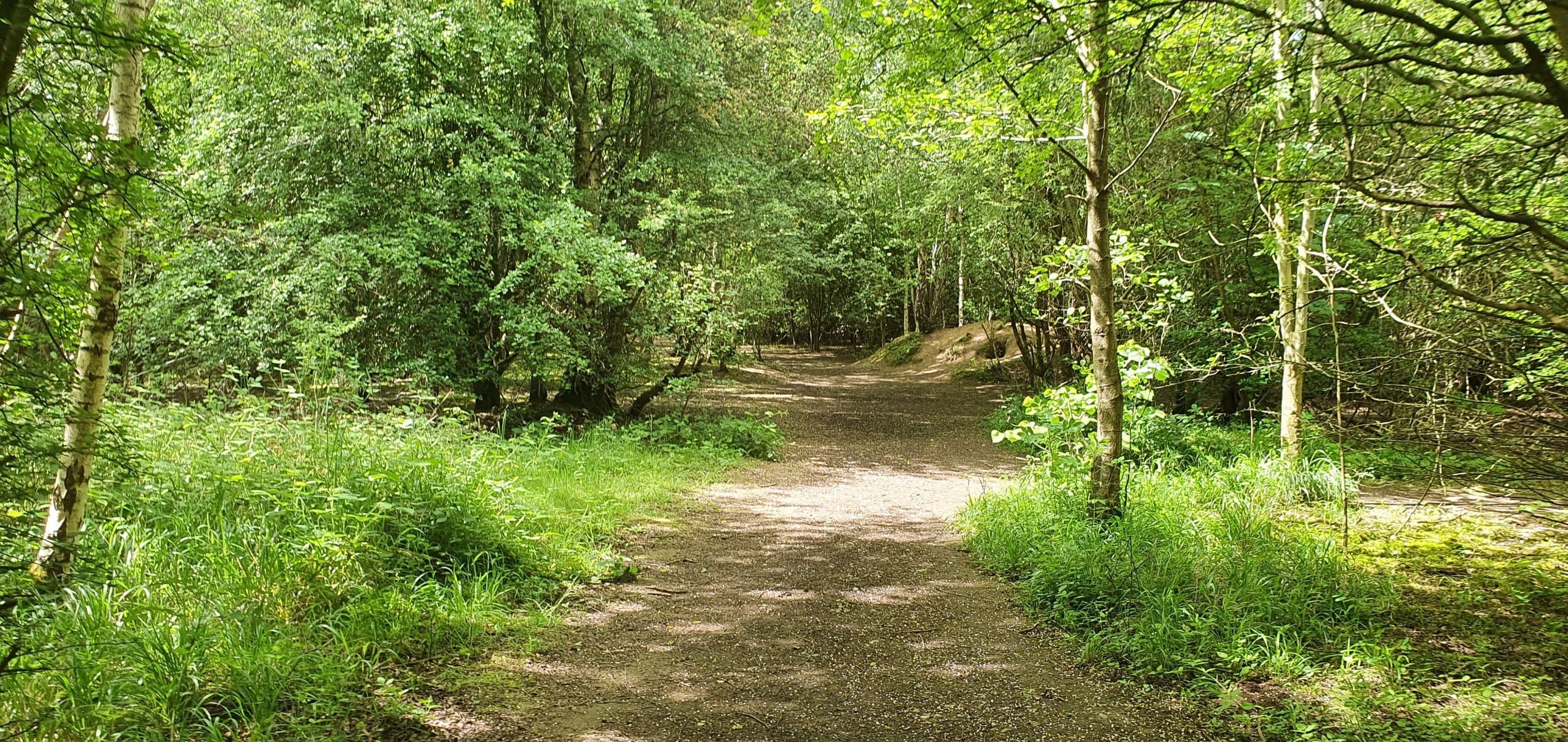 Race The Trails – Alyn Waters Country Park (Llay) - Running in Llay ...