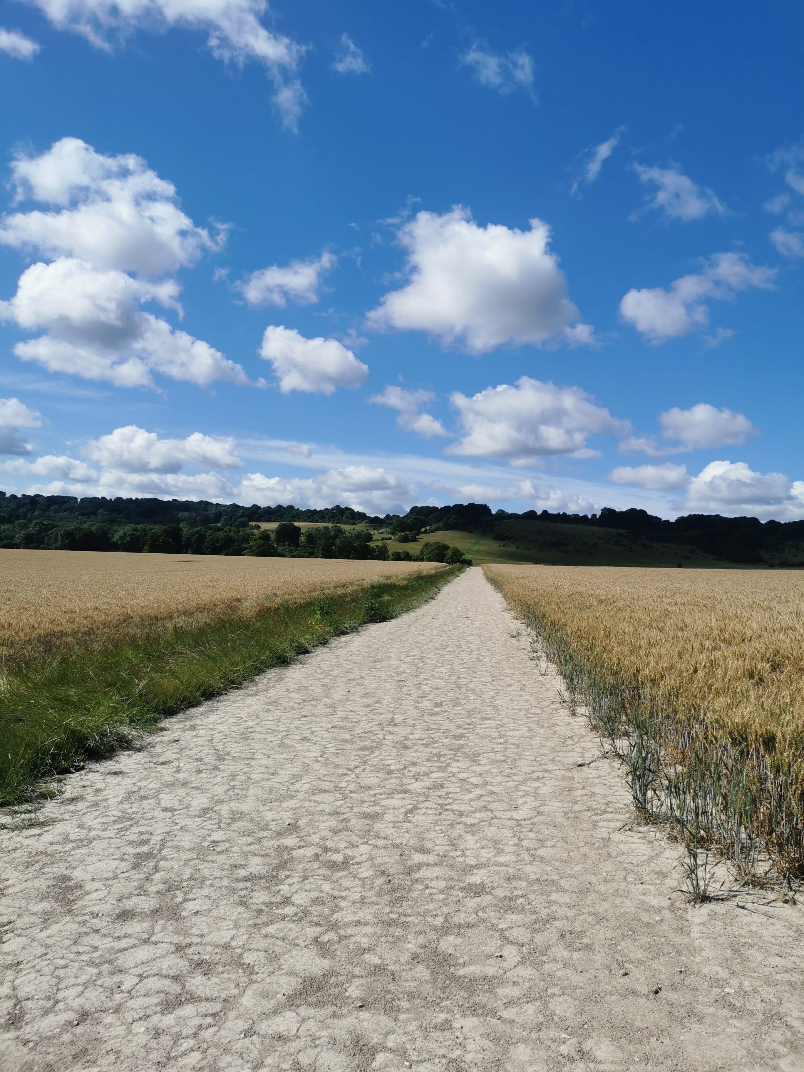 Tring Trails - Chilterns - Half-Marathon - Guided Run - Running in ...