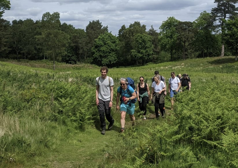 Surrey Three Peaks - Hiking in Beare Green — Let’s Do This