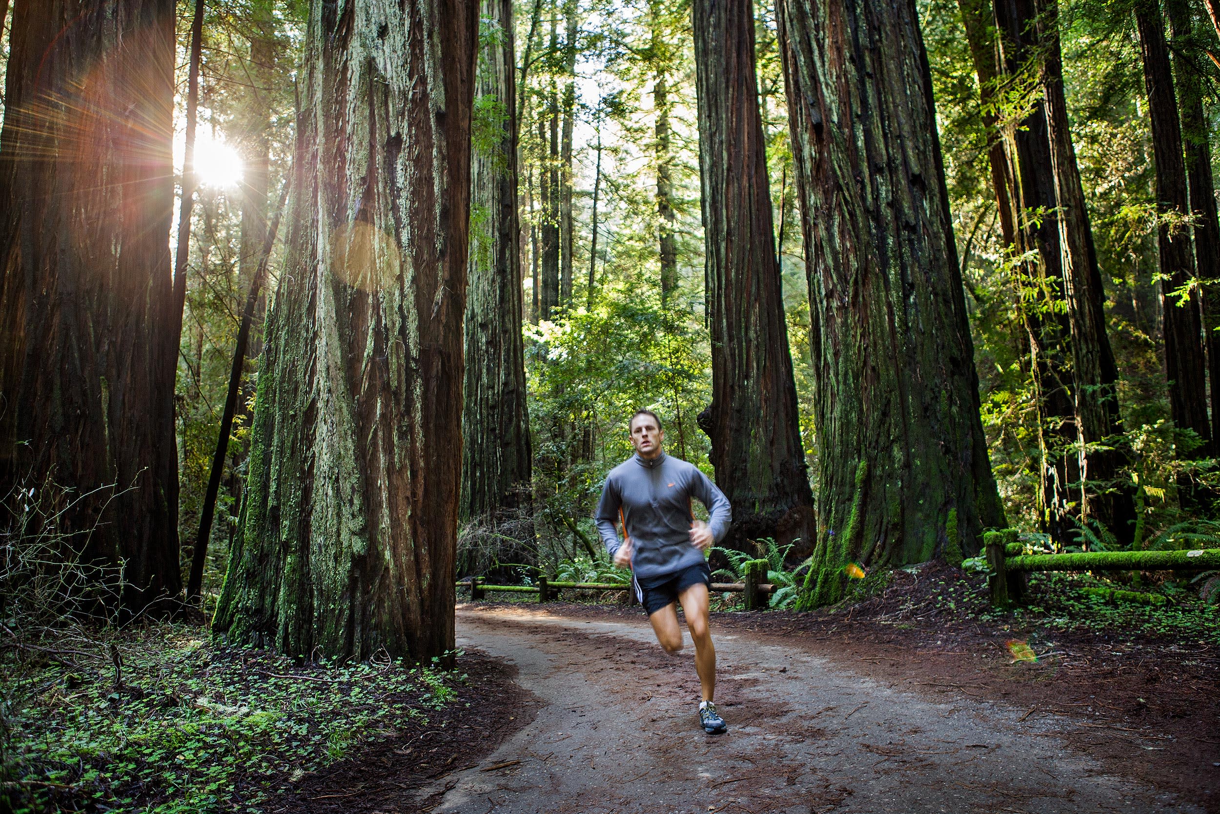 run-forest-run - Running in Chiddingfold — Let’s Do This
