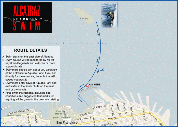 Alcatraz Sharkfest Swim - Swimming in San Francisco — Let's Do This