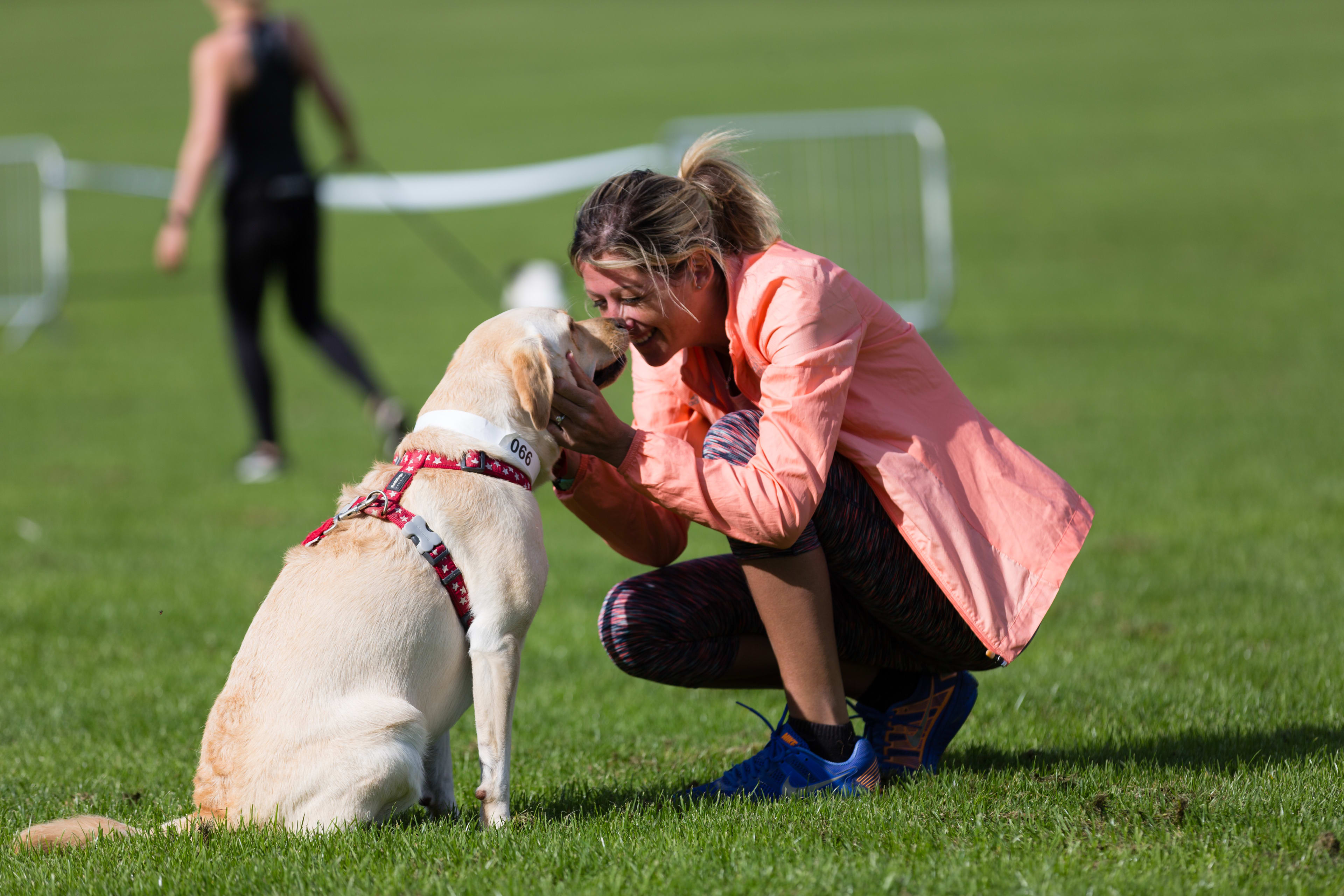 Brighton K9 Challenge - Running in Brighton — Let’s Do This