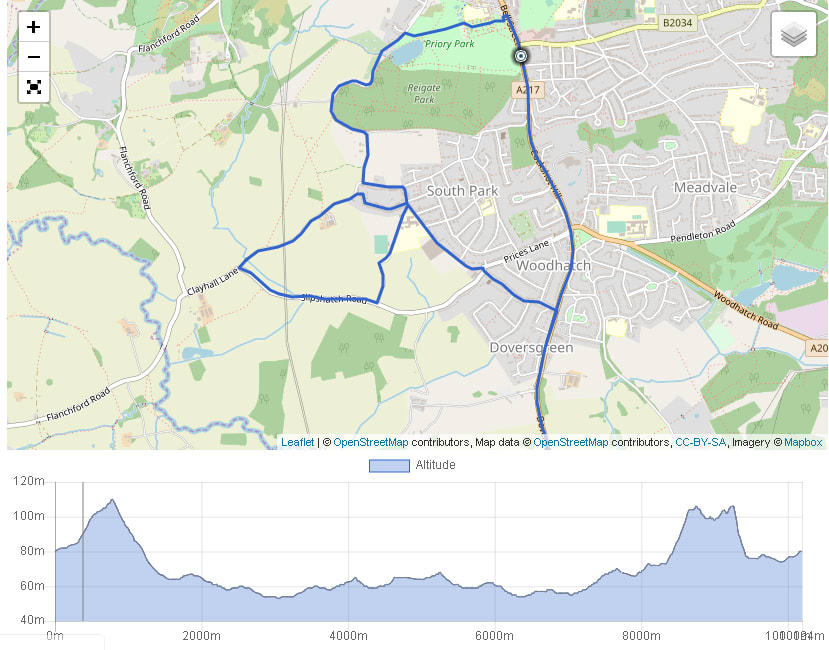 Intersport Run Reigate Half Marathon, 5K, 10K & Kids Race - Running in ...