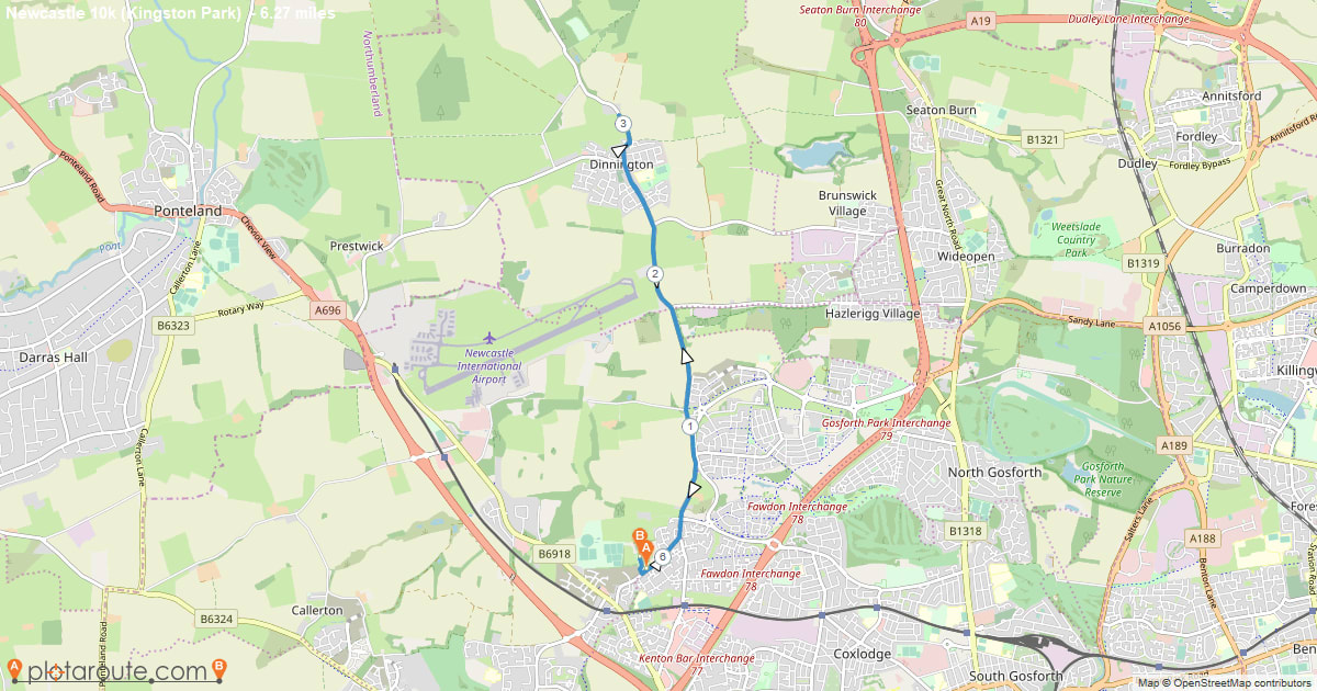 RunThrough Newcastle Half Marathon & 10k July 2025 - Running in ...