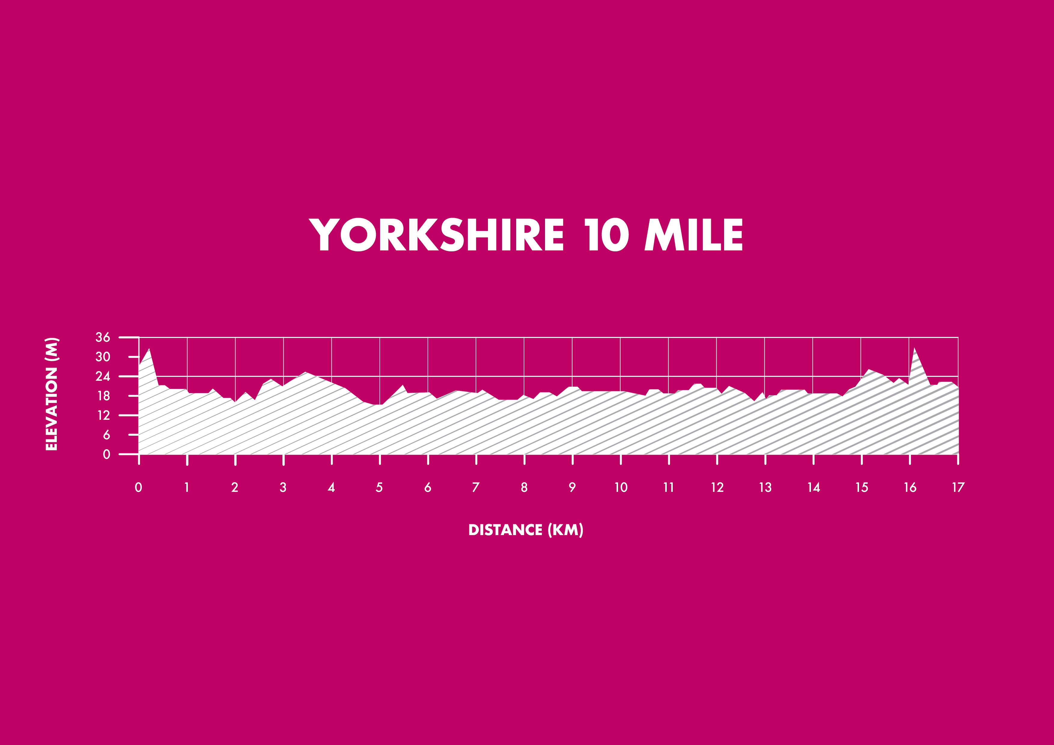The Yorkshire Marathon 2025 - Running in Heslington — Let's Do This