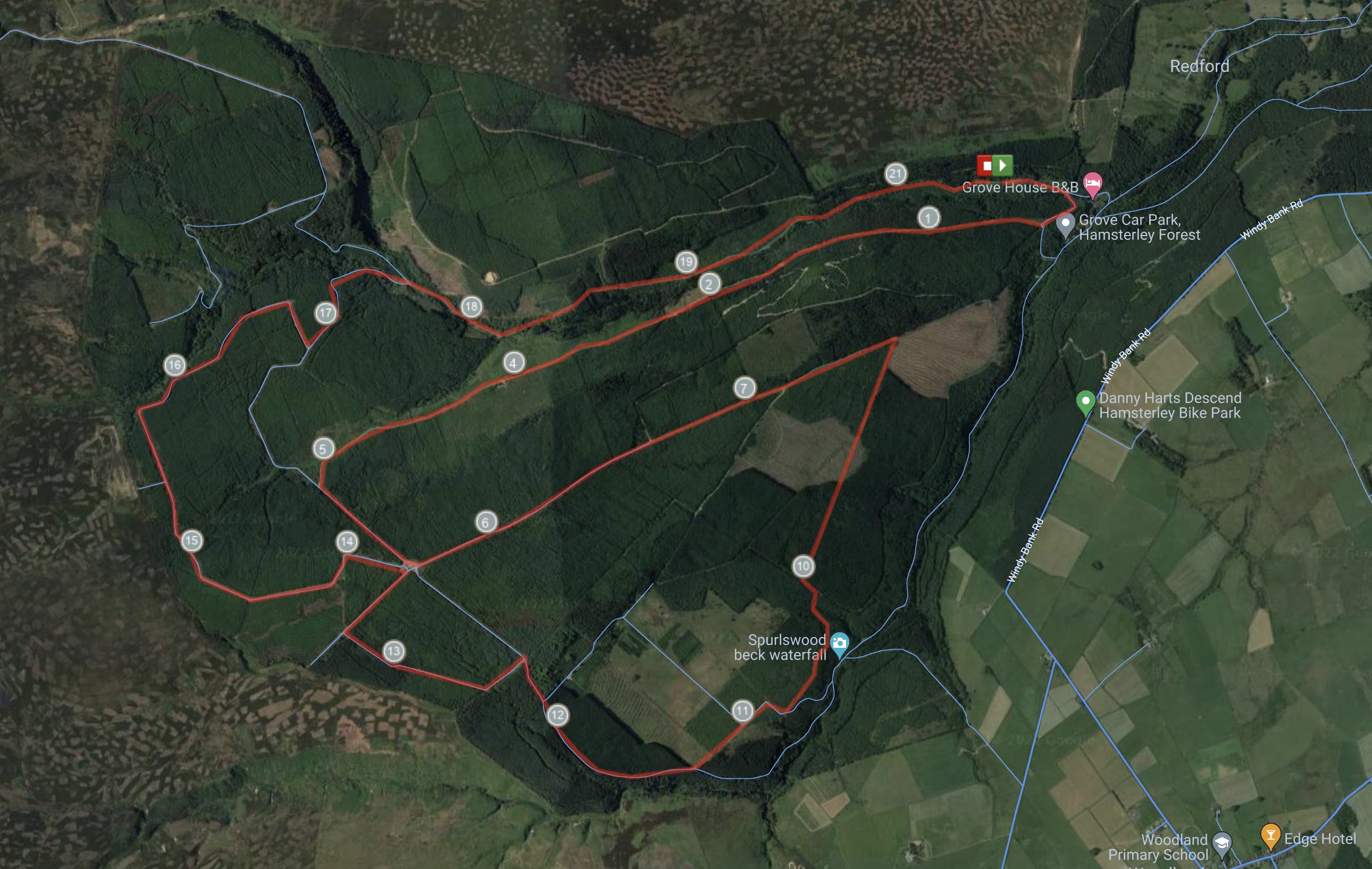 Run Durham Hamsterley Forest Summer Half Marathon & 10k - Running in ...