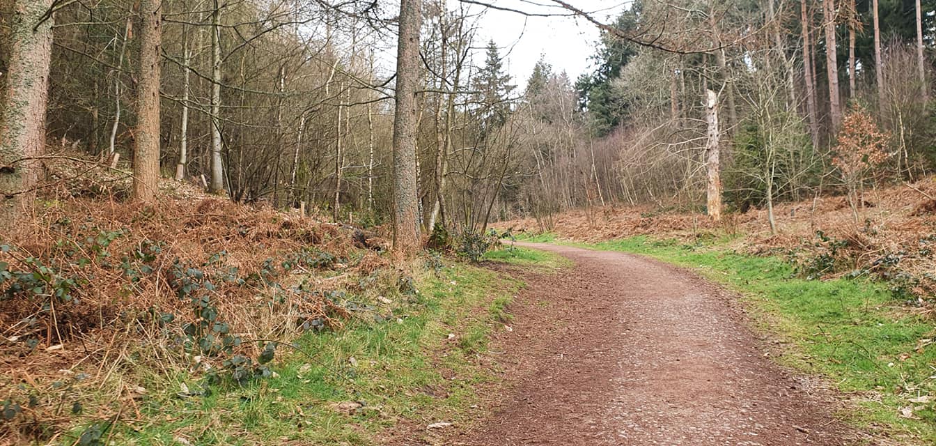 Race The Trails - Comer Wood - Running in Quatford — Let’s Do This
