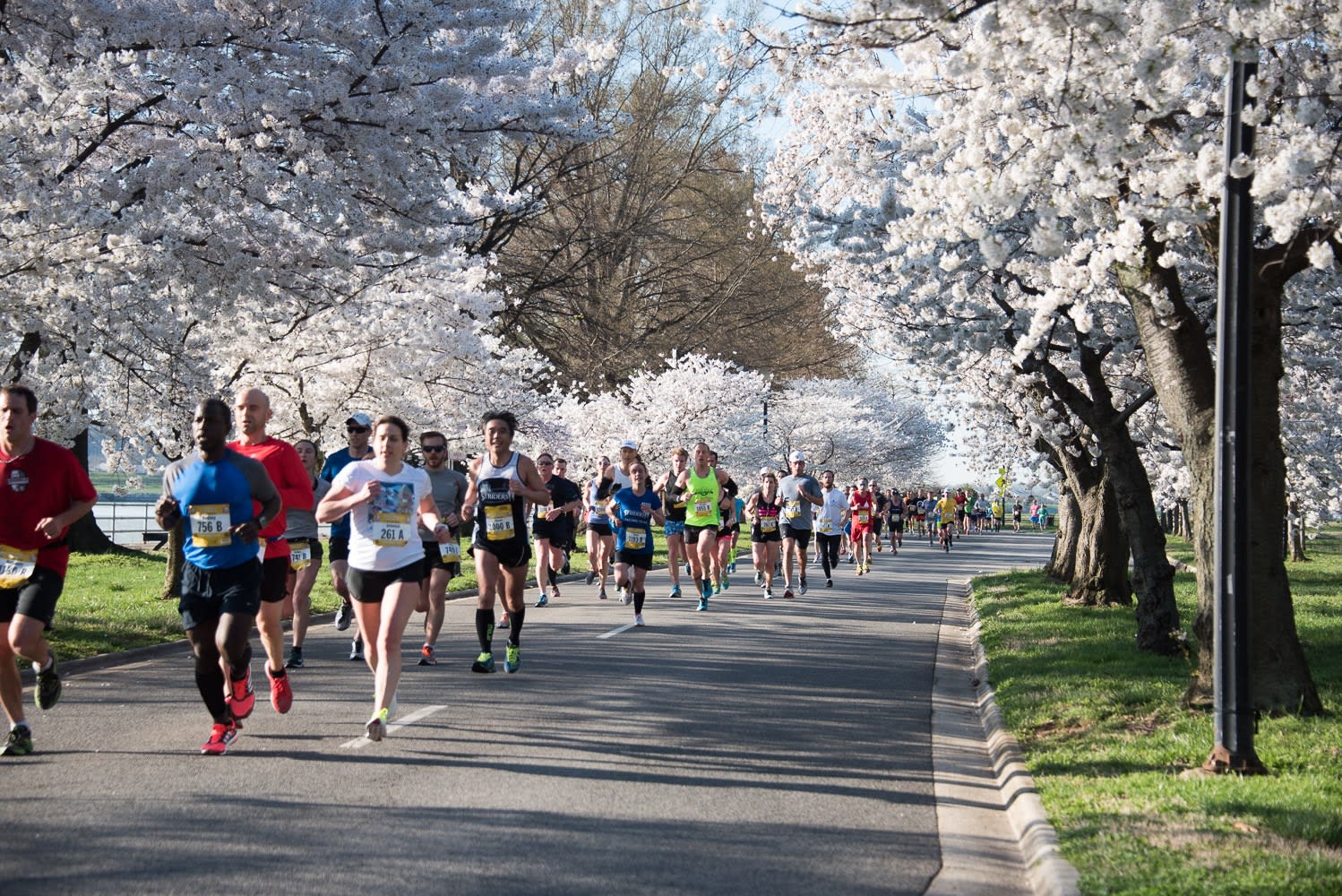 5k Runs in Virginia 2023 - 2024 | Let's Do This