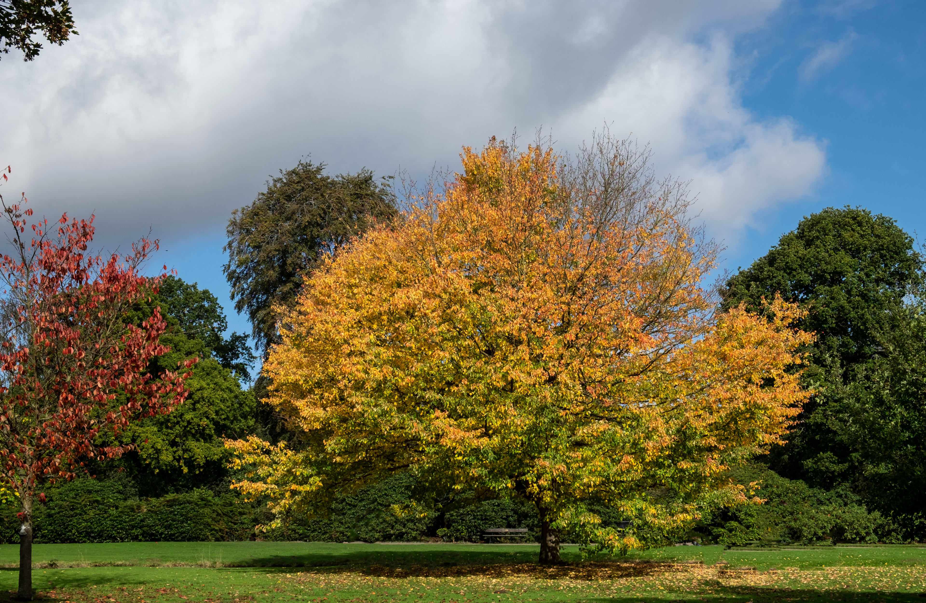 The Ultra Loop | Run As Many 5km Loops As You Can In 8 Hours - Running in Leeds — Let’s Do This