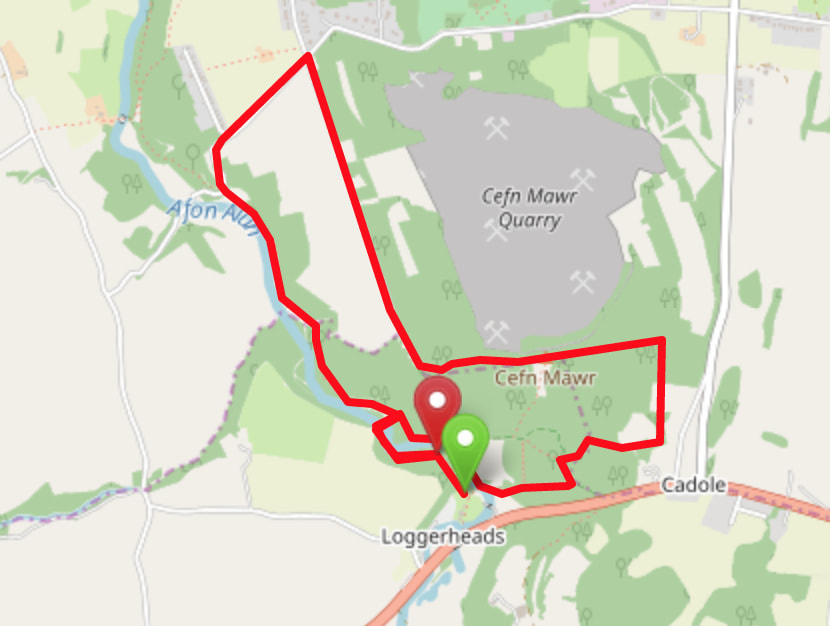 Loggerheads Trail 10k & 5k 2025 - Running in Mold — Let's Do This