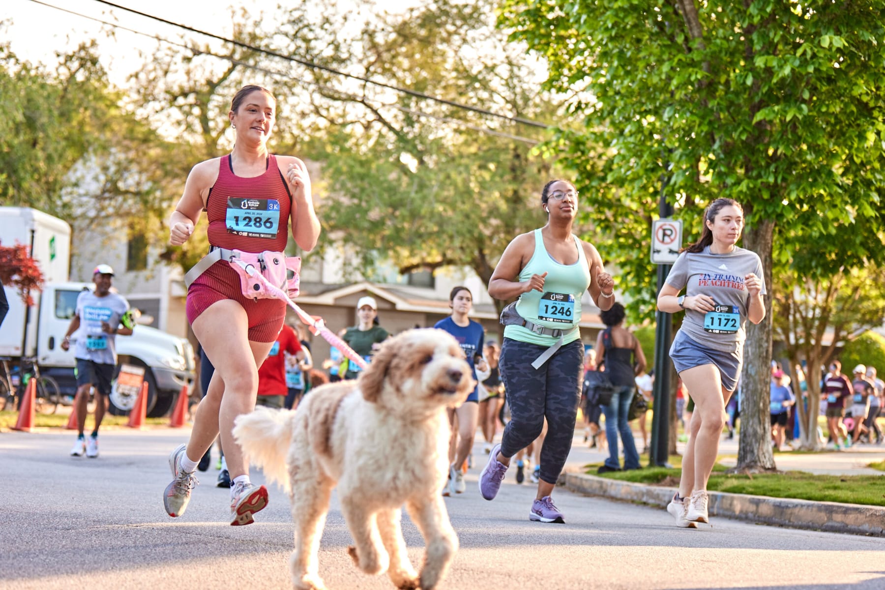 5k Events in United States 2025-2026 — Let's Do This