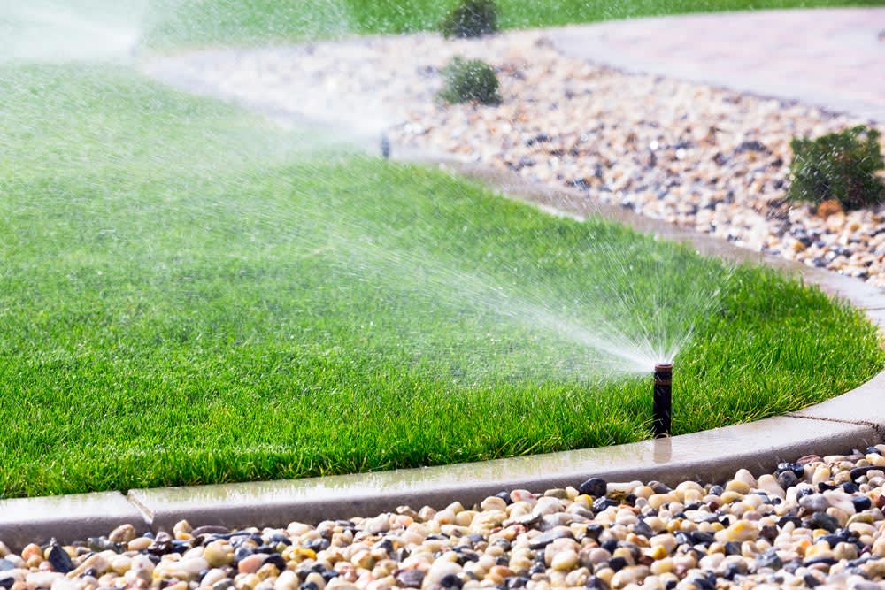 Irrigation Specialist Near Me