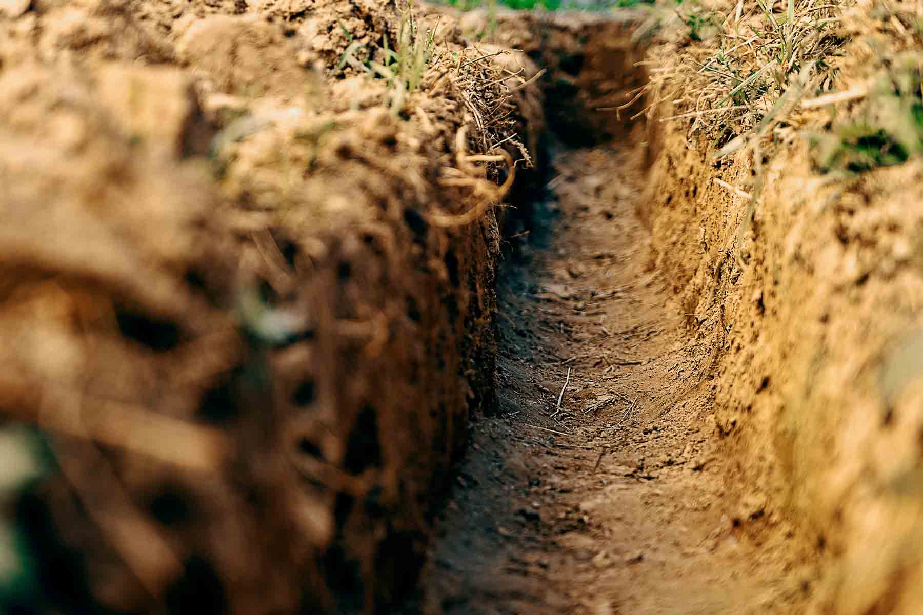 The 10 Best Trenching Services Near Me (with Free Quotes)